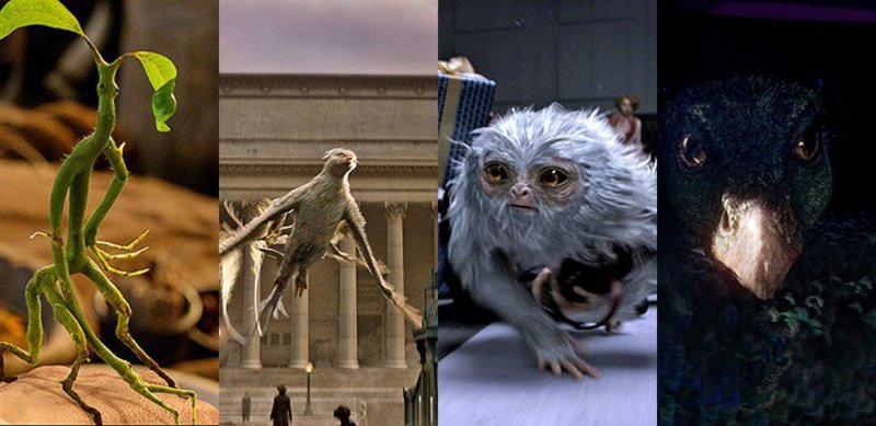 Así Son Las Criaturas De Animales Fantásticos Y Dónde Encontrarlos